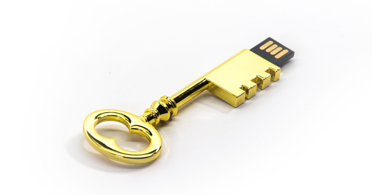 Skeleton Key USB Drive | EveryUSB.com